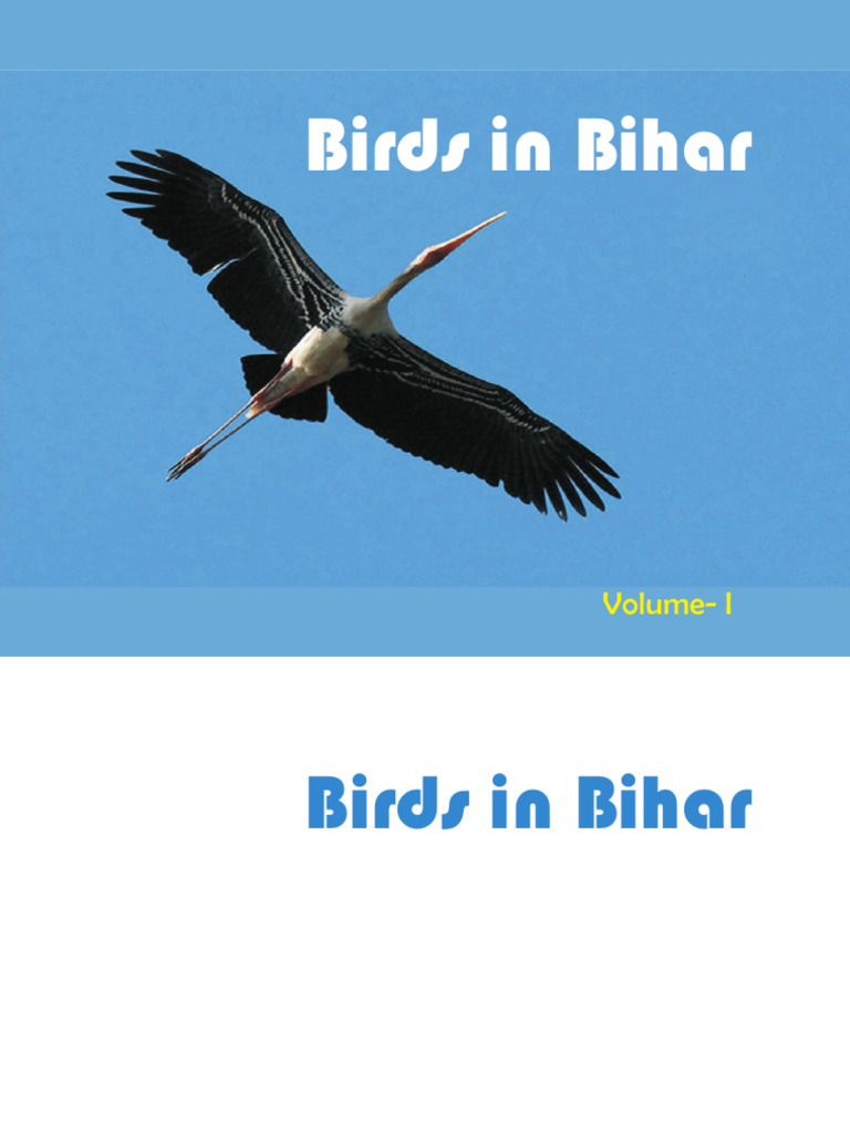 Birds in Bihar | PDF | Columbidae | Birds