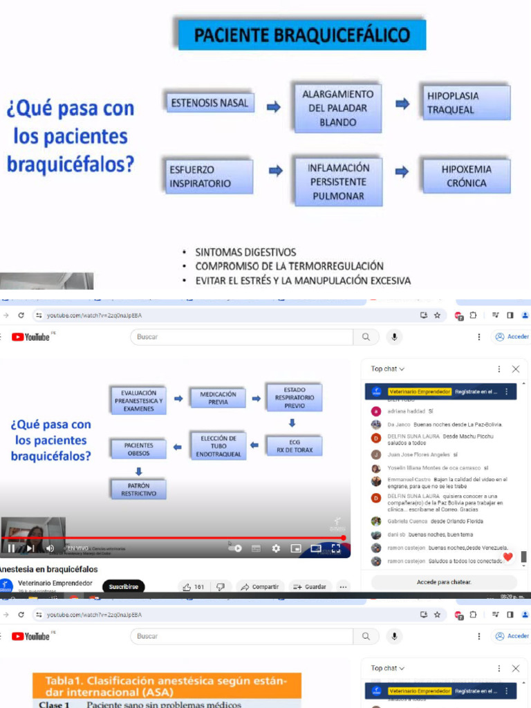 Anestecia Braqui | PDF