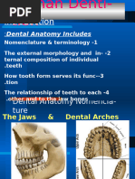 Dental Anatomy: Teeth Nomenclature & Numbering | PDF | Dental Anatomy ...