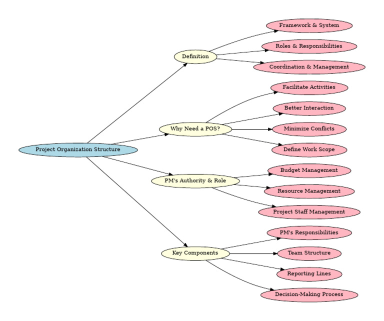Project Organization Structure Mindmap | PDF