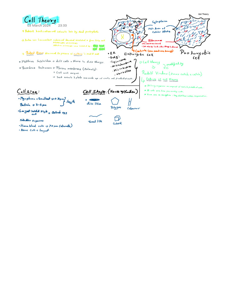 Cell Theory | PDF