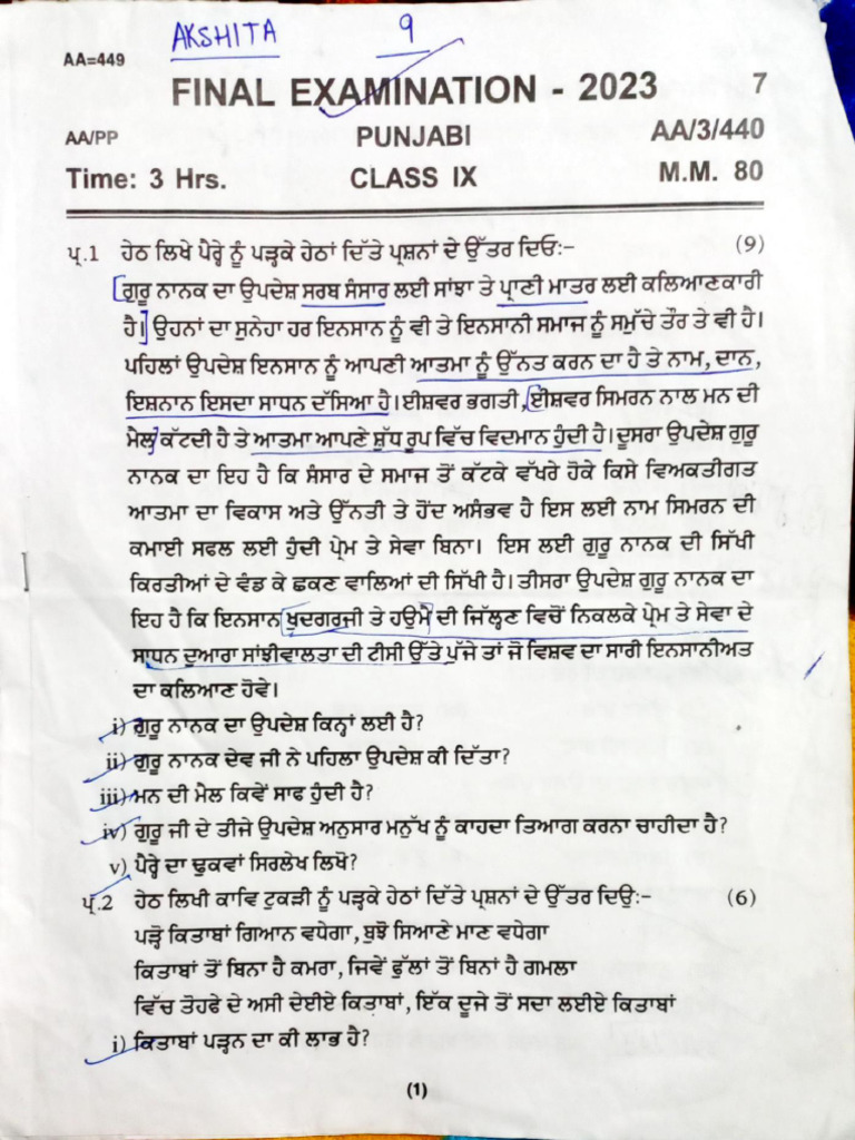 Q Paper Punjabi | PDF