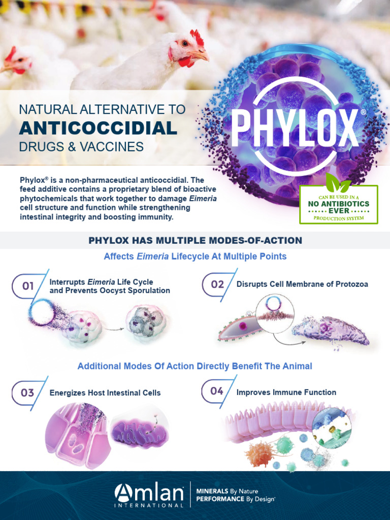 D6 Phylox Sell-Sheet 052223 v2 Reduced | PDF | Immunology | Medical ...
