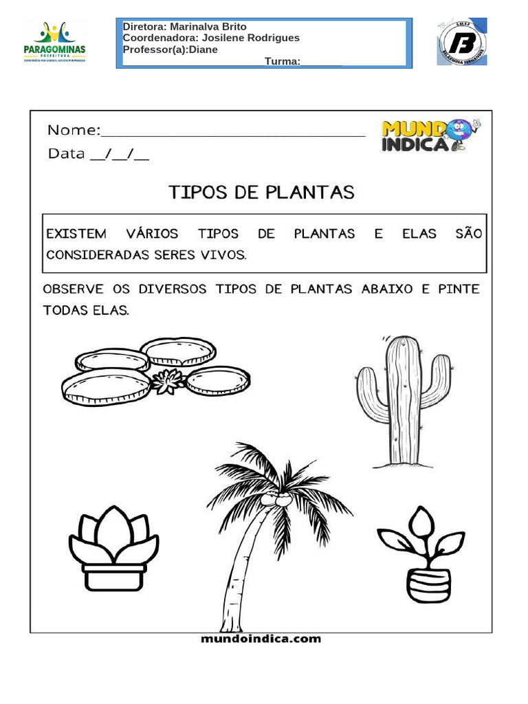 Atividade para Marcos Vinicius | PDF