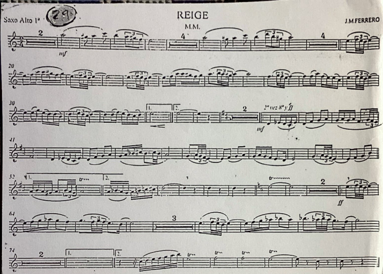 Reige: Análisis y Perspectivas | PDF