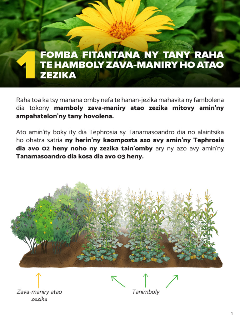 Composting Technique Pdf