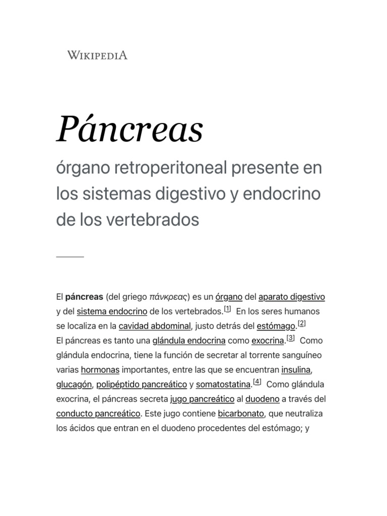 Función del Páncreas | PDF | Páncreas | Anatomía