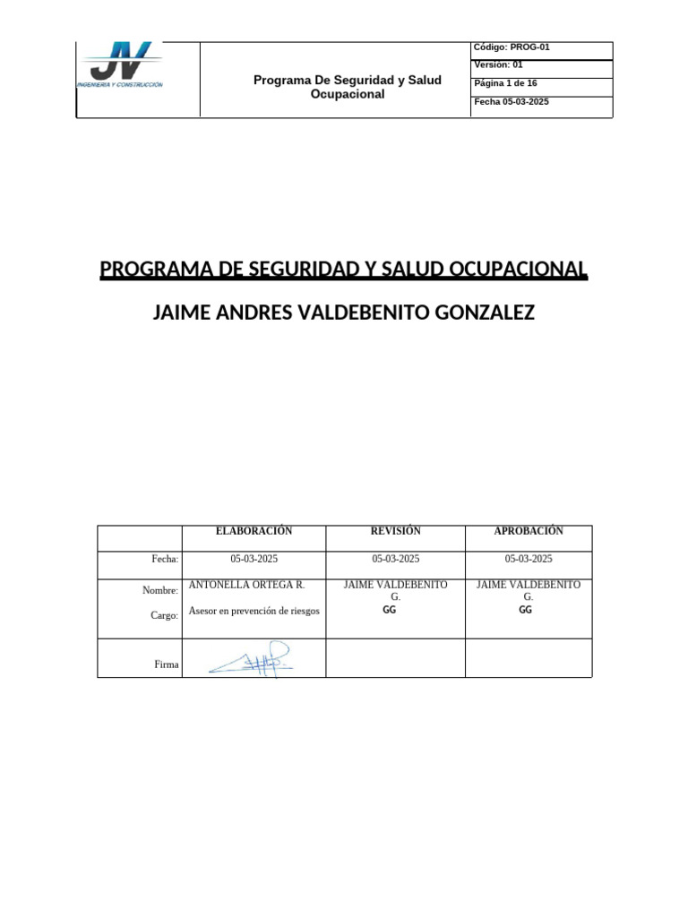 PROGRAMA DE SEGURIDAD Y SALUD OCUPACIONAL 2025 b7w | PDF | Seguridad y ...