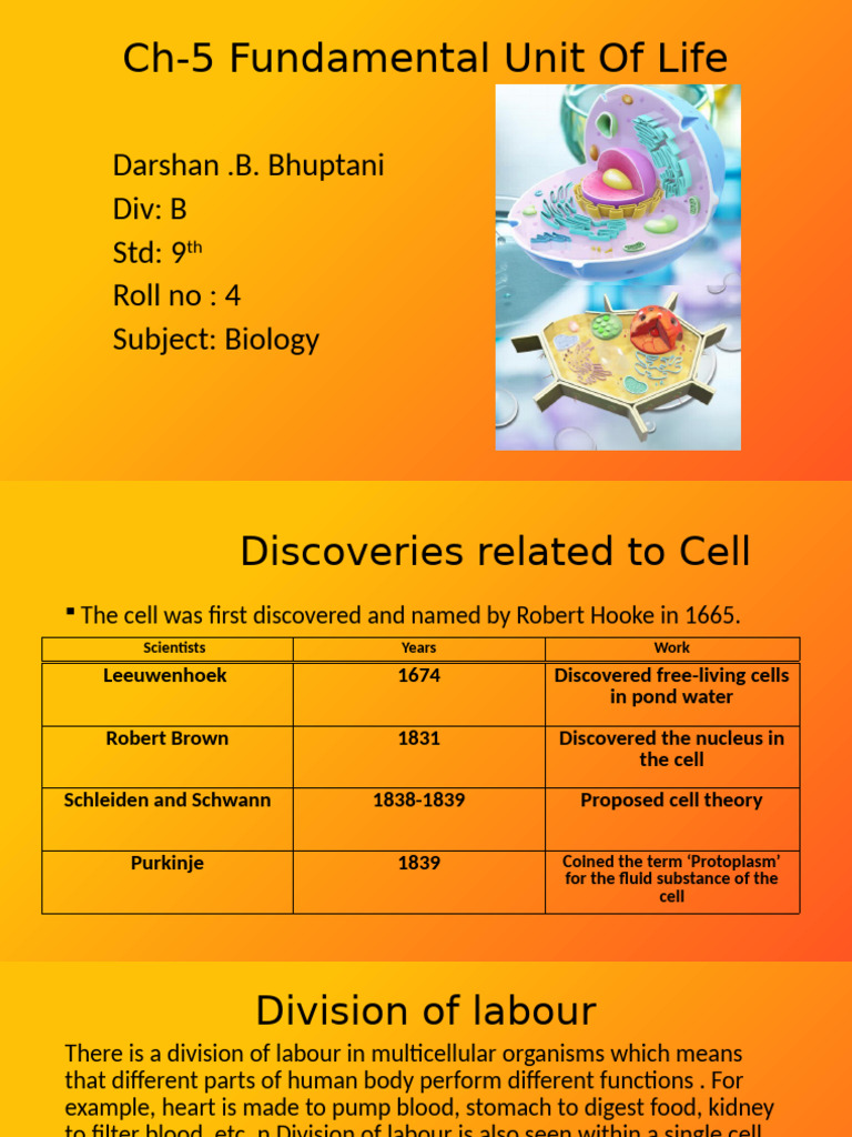 Cell Structure and Function Overview | PDF | Endoplasmic Reticulum ...
