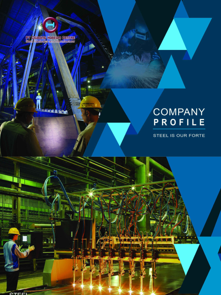 Company Profile 2024 | PDF