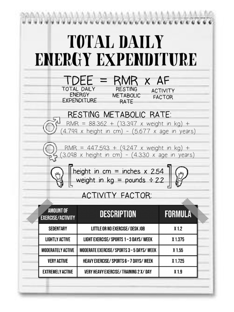 TDEE Cheat Sheet | PDF