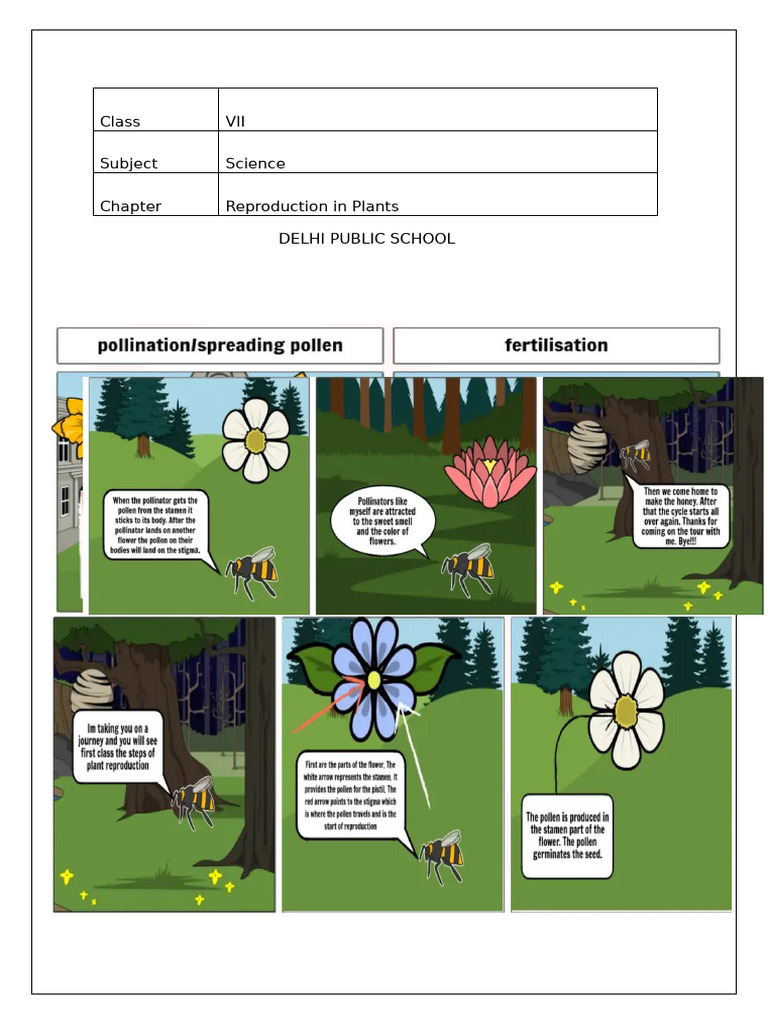 Worksheet 2 - Reproduction in Plants | PDF | Flowers | Plant Reproduction