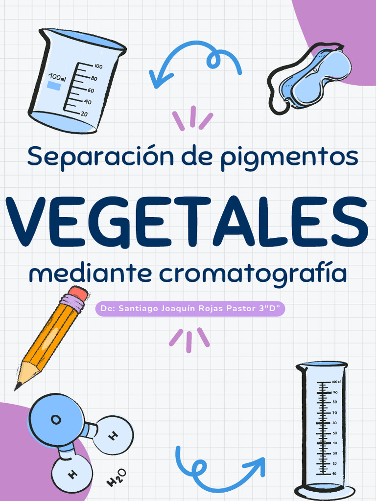 Caratula Informe Cyt | PDF