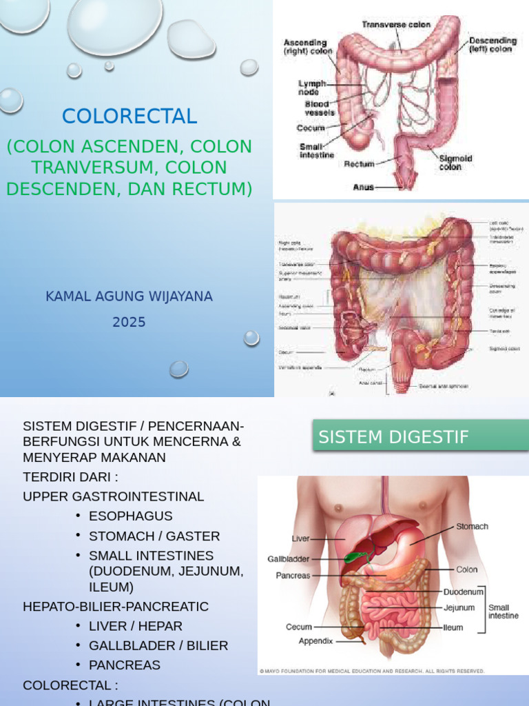 Kamal3. Colorectal Disease | PDF