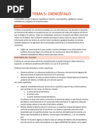 Funciones del Colículo Superior e Inferior | PDF | Anatomía humana ...