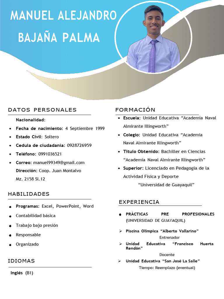 Currículum - Vitae - BAJAÑA PALMA MANUEL ALEJANDRO | PDF