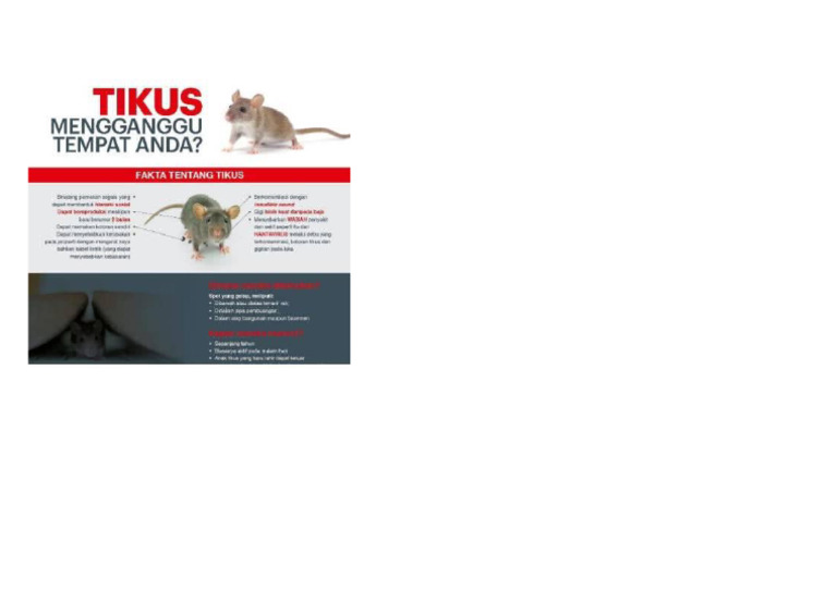 Tikus Pest Control | PDF