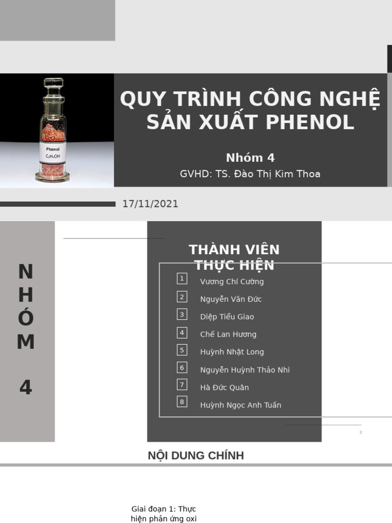 HCHD Nhóm 4 Phenol | PDF
