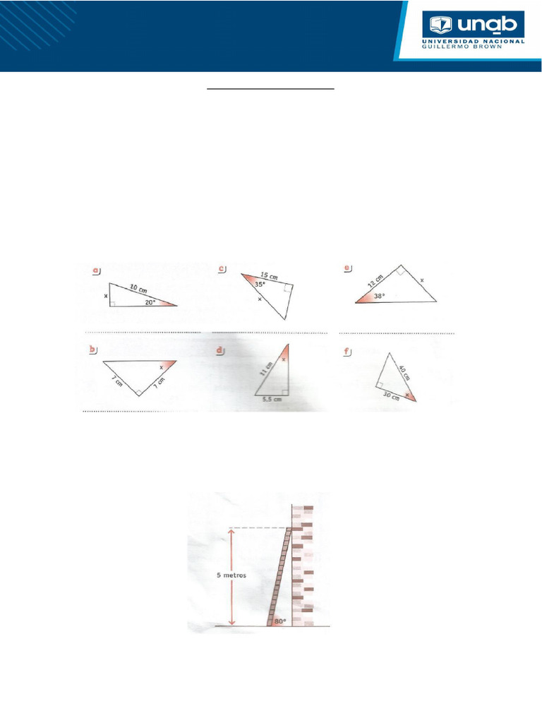 Matemática 29-51 - TP6 | PDF