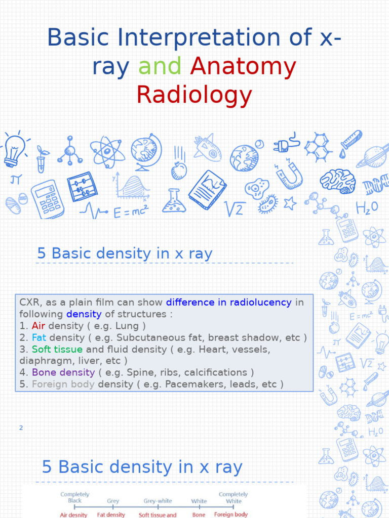 Basic Interpretation and Anatomy Radiology | PDF