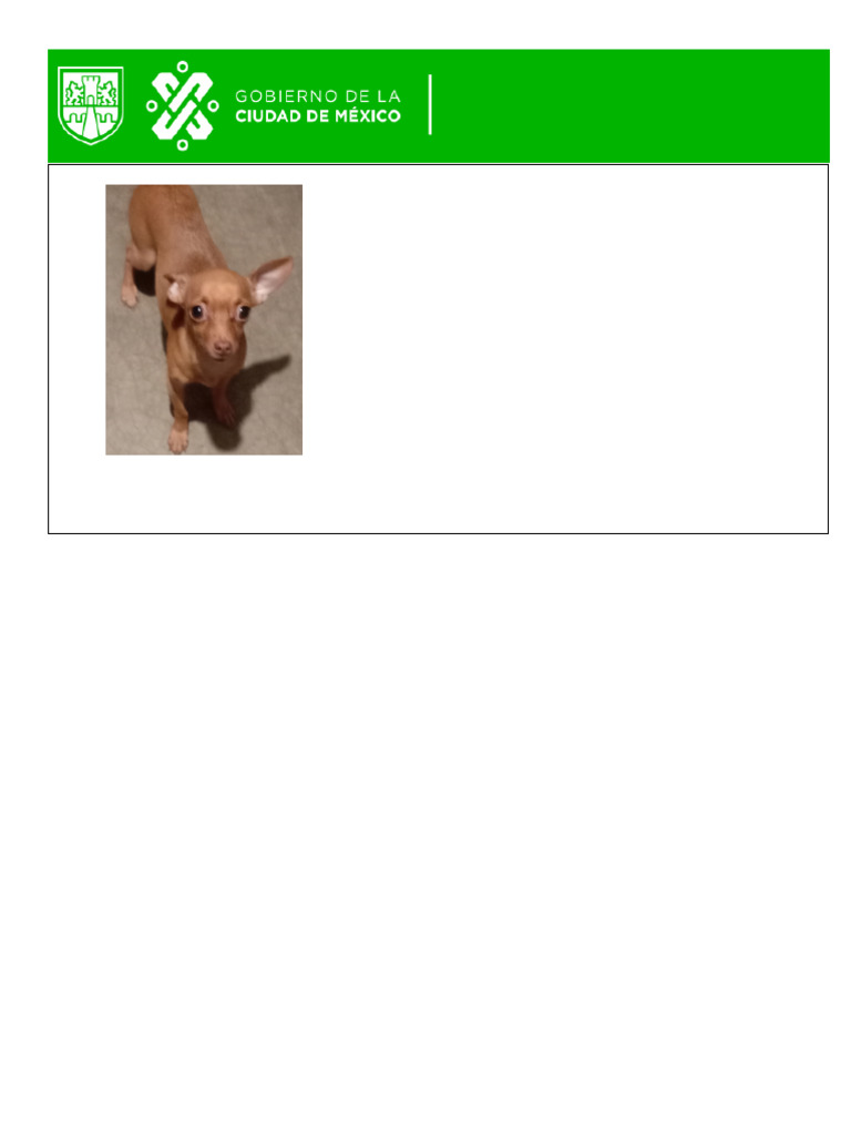 Nala 1712112859 | PDF