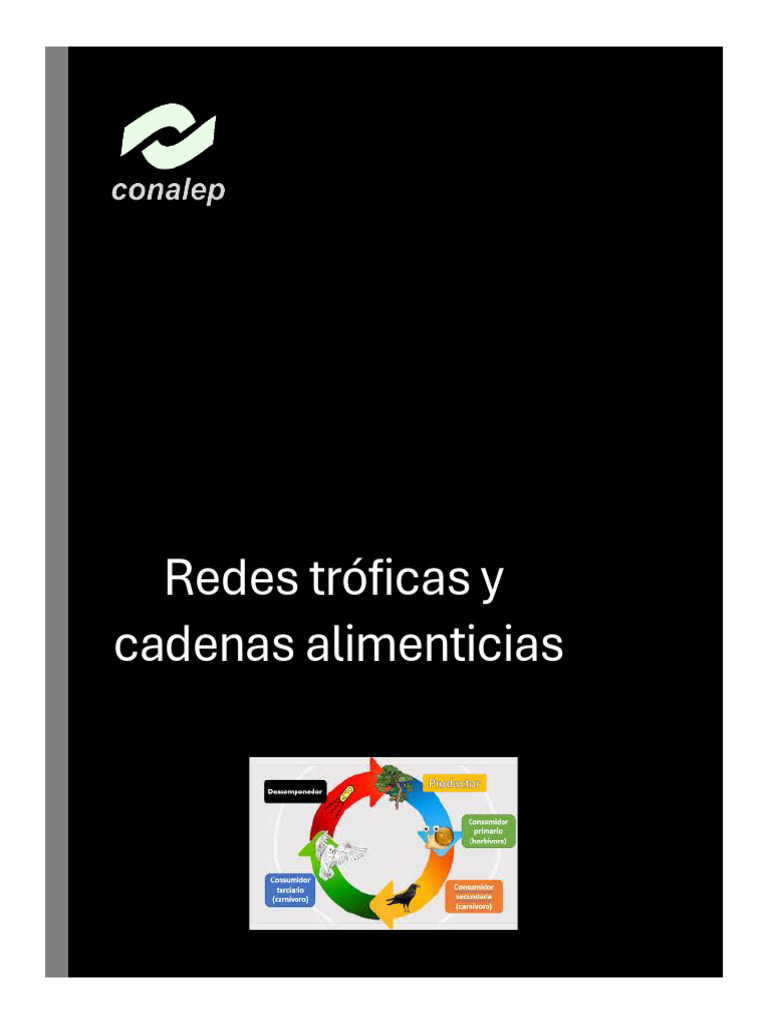 Redes Troficas y Cadenas Alimenticias 2102 | PDF | Red alimentaria ...