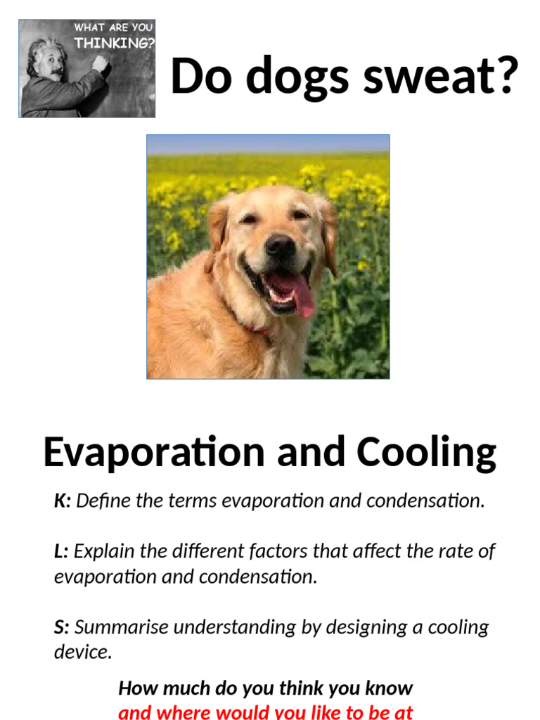Understanding Evaporation and Cooling | PDF | Evaporation | Humidity