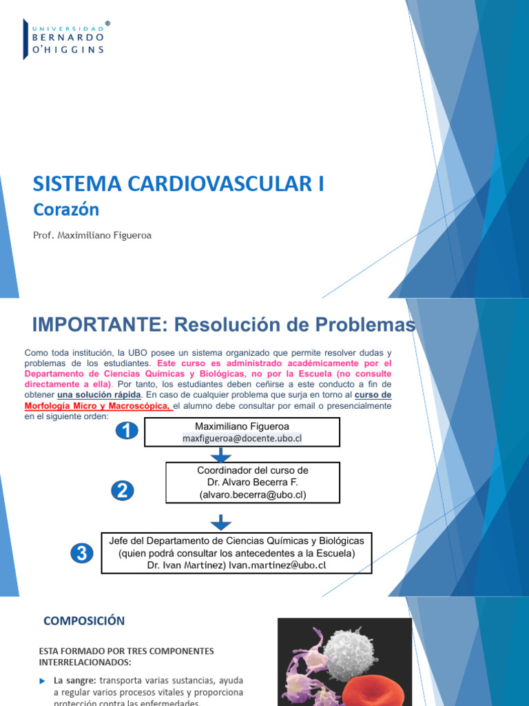Clase 5 Sistema Cardiovascular I | PDF | Corazón | Angiología
