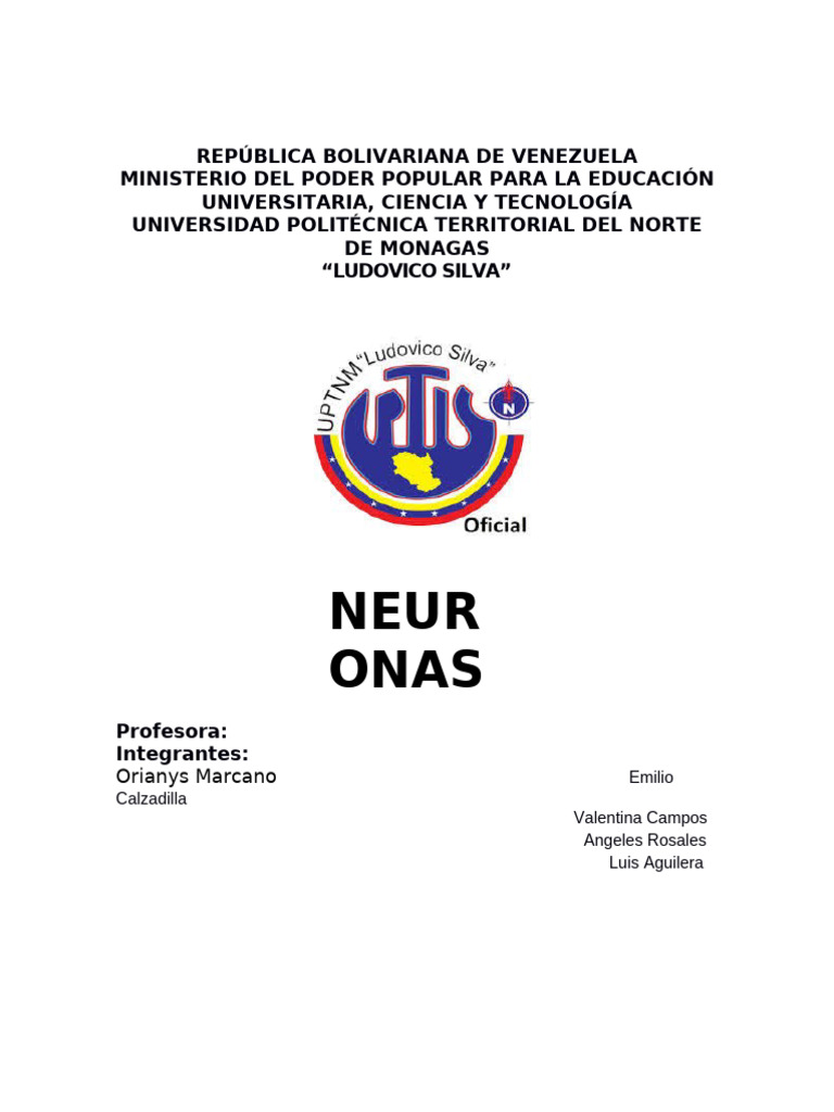 Qué Es Una Neurona | PDF | Sinapsis | Neurona