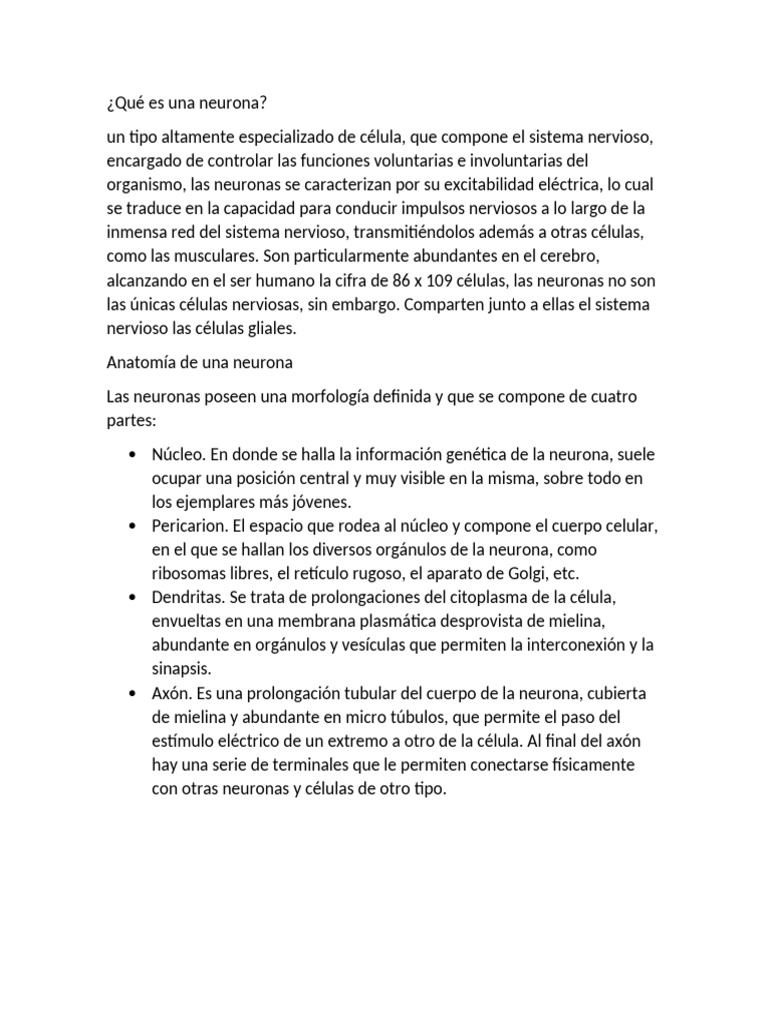 Qué Es Una Neurona | PDF | Neurona | Sinapsis