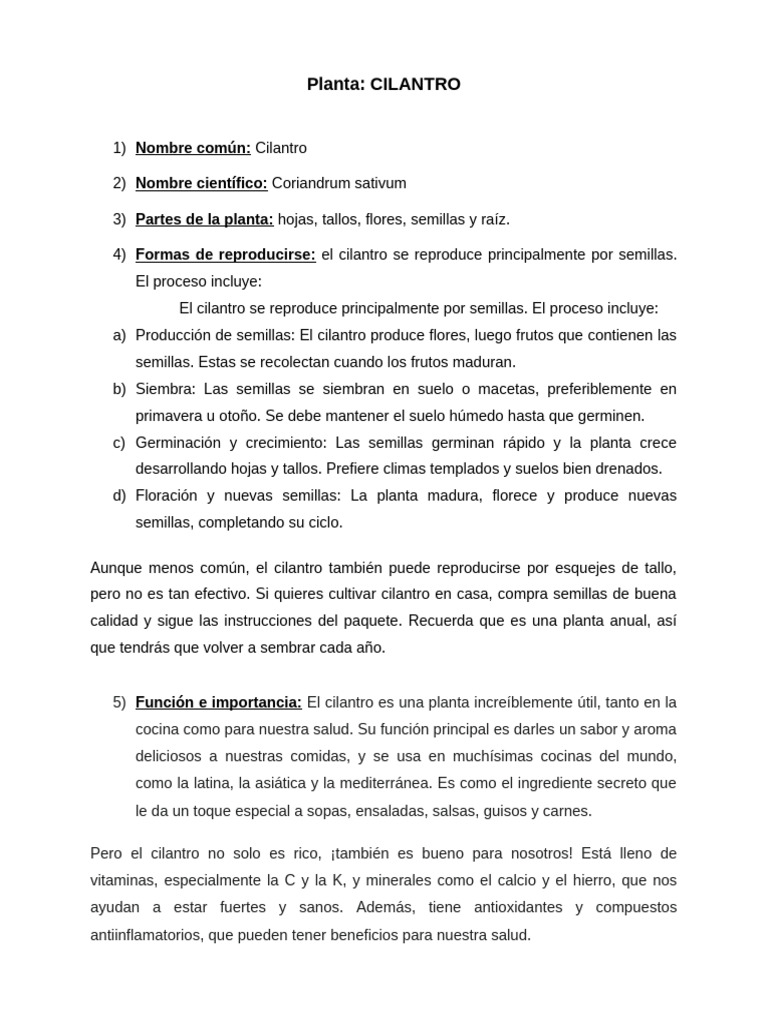 Partes del Cilantro y su Cultivo | PDF | Cilantro | Fotosíntesis