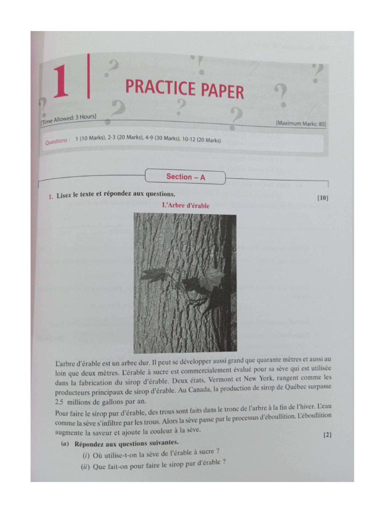 Class 9 Practice Papers | PDF