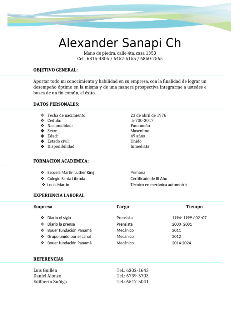 Curriculum Editable | PDF