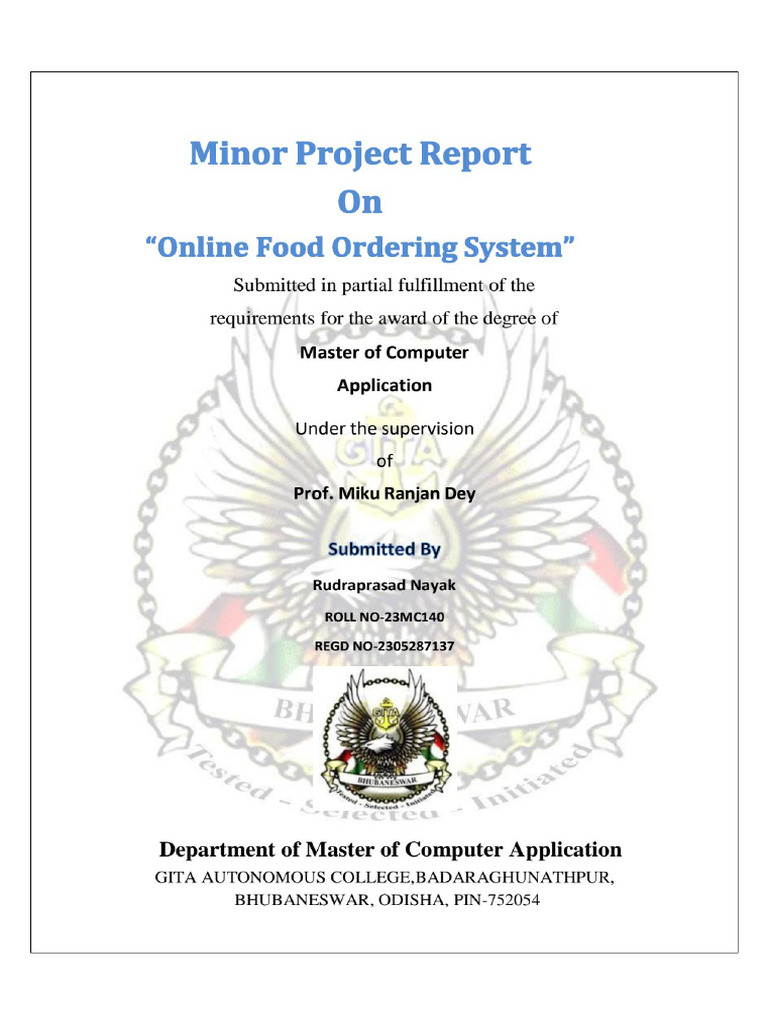 MINOR PROJECT REPORT (Format) | PDF