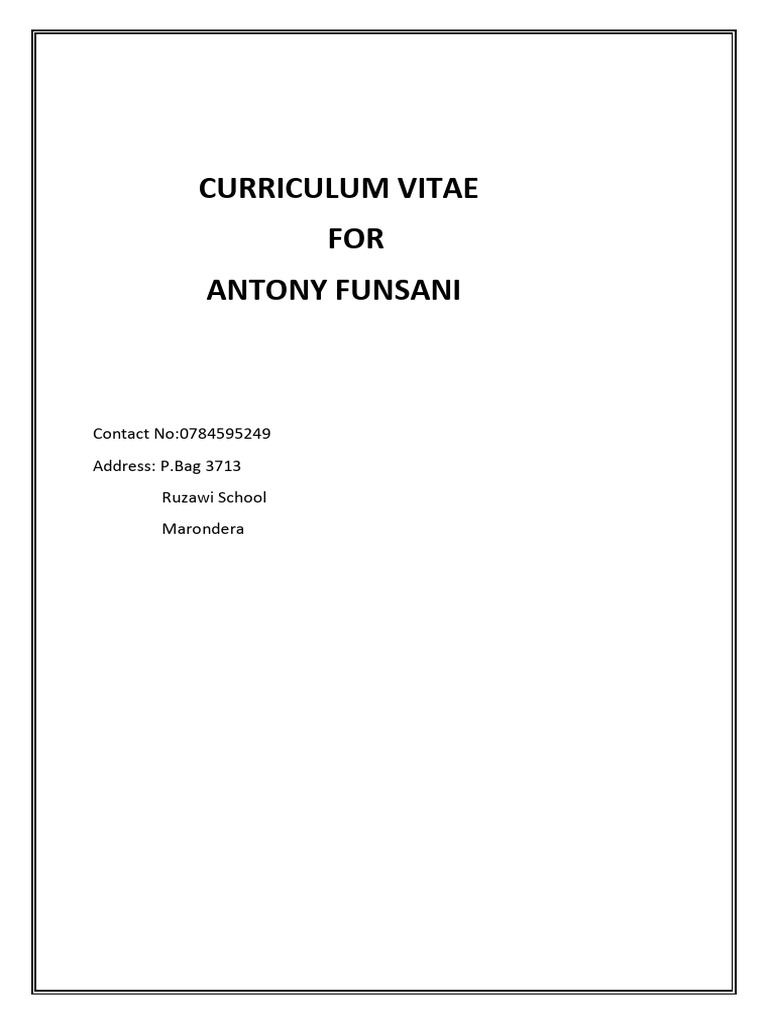 Curriculum Vitae Antony Funsani | PDF