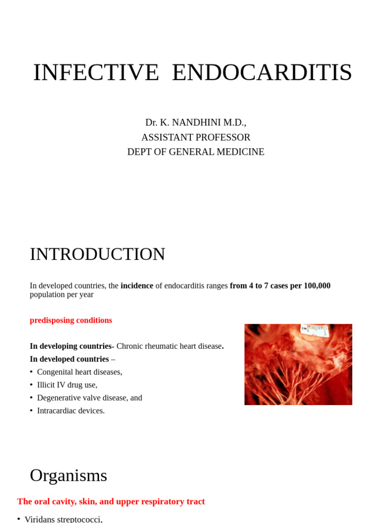 Infective Endocarditis | PDF | Staphylococcus Aureus | Staphylococcus