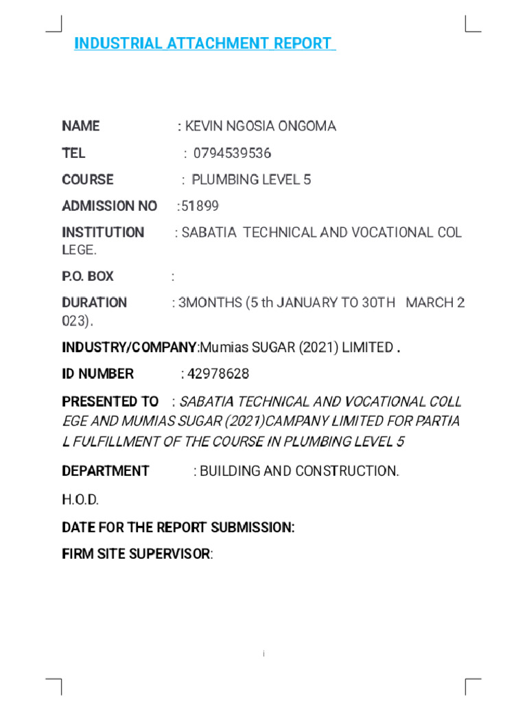 BENSONINDUSTRIAL ATTACHMENT REPORT (2) - 1 - Phoenix | PDF