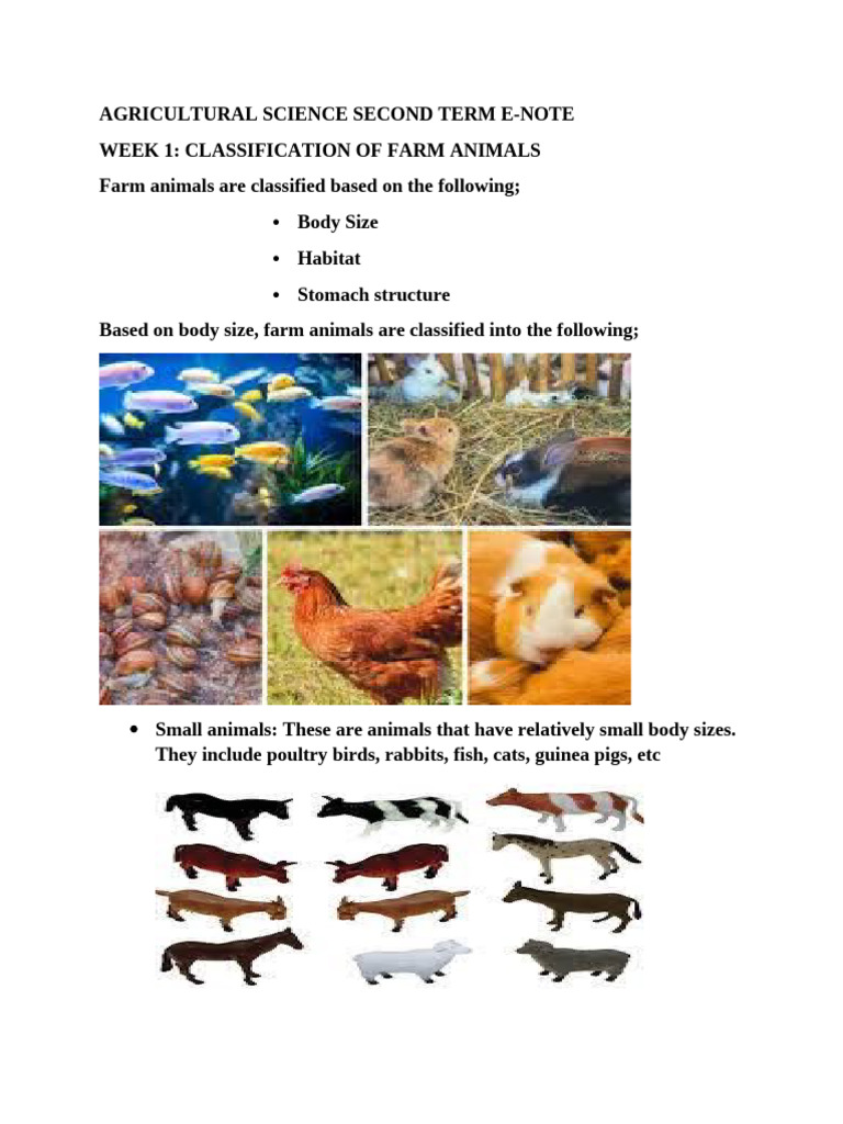 AGRICULTURAL SCIENCE SECOND TERM E-NOTE | PDF | Weed | Pest (Organism)