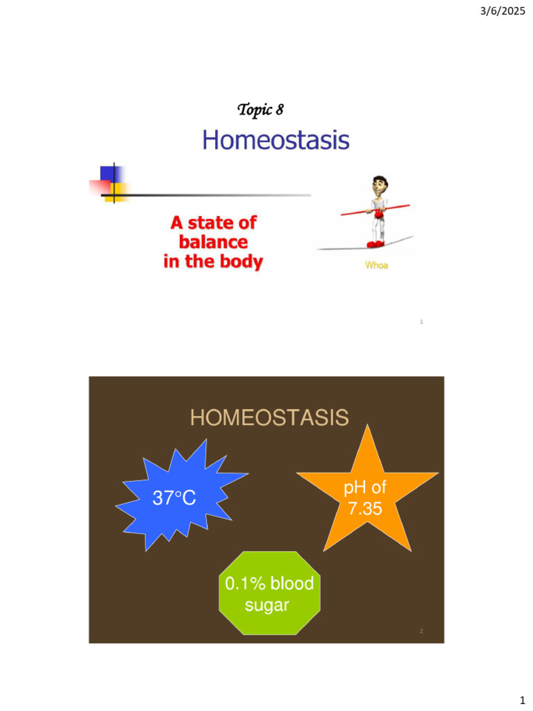 HiM - Topic 8 - Homeostasis - Spr25 | PDF | Stoma | Kidney