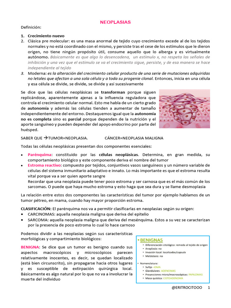 TP4 NEOPLASIAS | PDF | Cáncer | Neoplasias