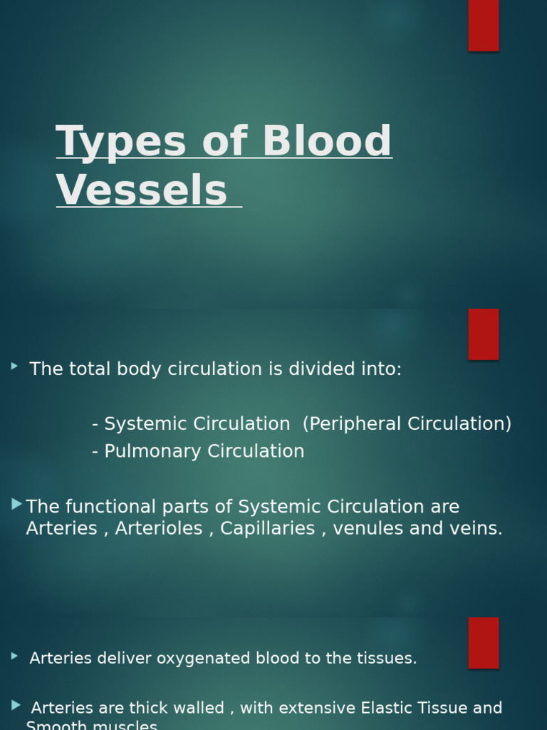 Types of Blood Vessels Explained | PDF