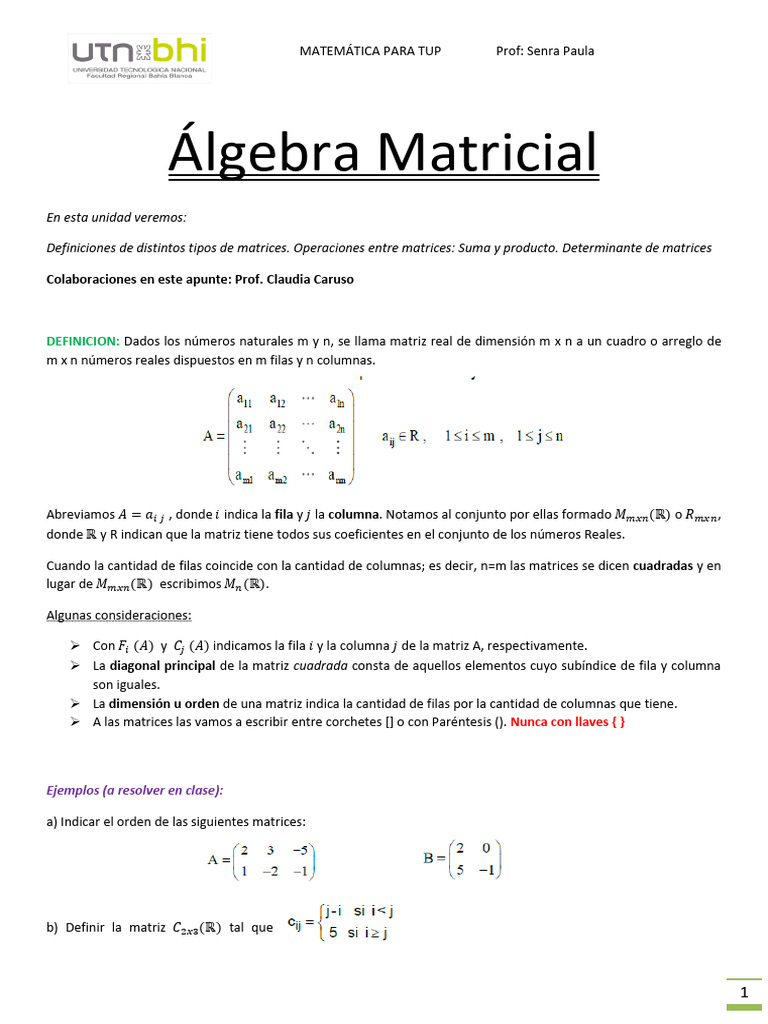 Álgebra Matricial | PDF | Matriz (Matemáticas) | Número Real