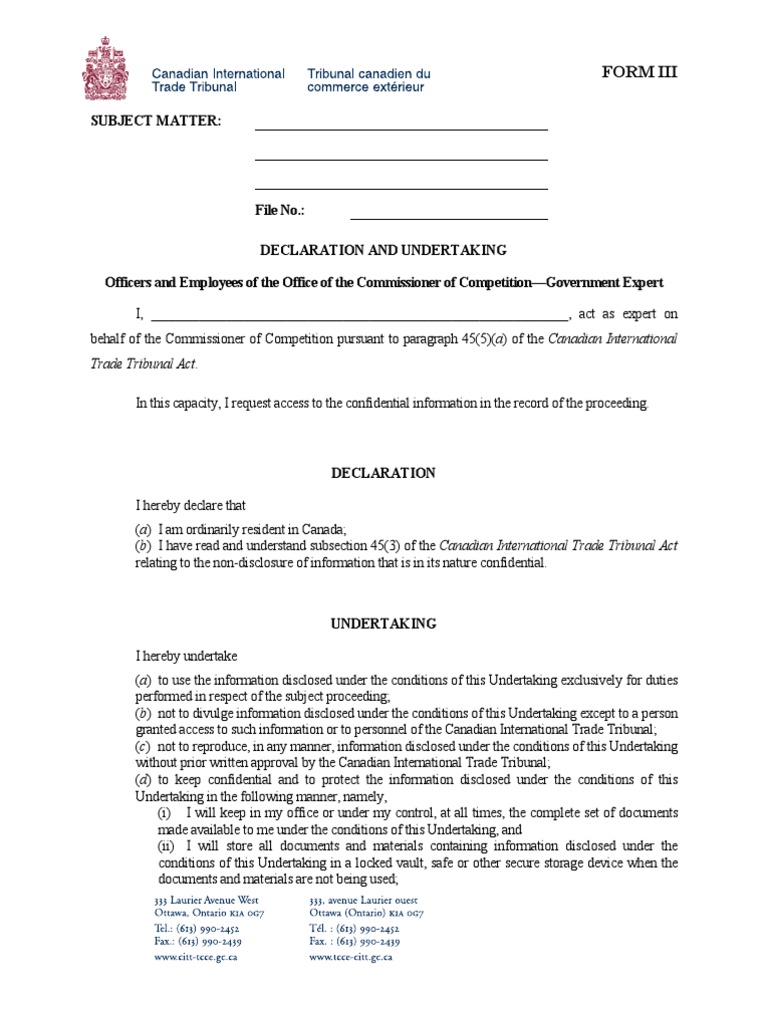Form-IIIb e | PDF | Information | Computer File
