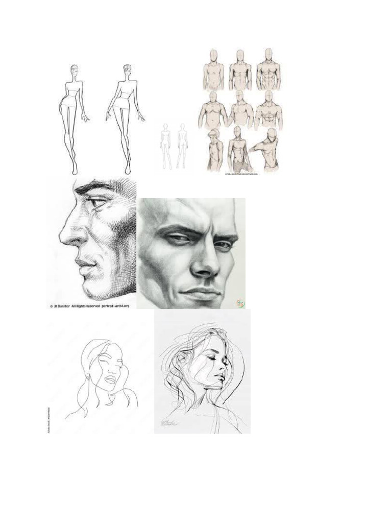 Animal, Plant, Human Drawings | PDF