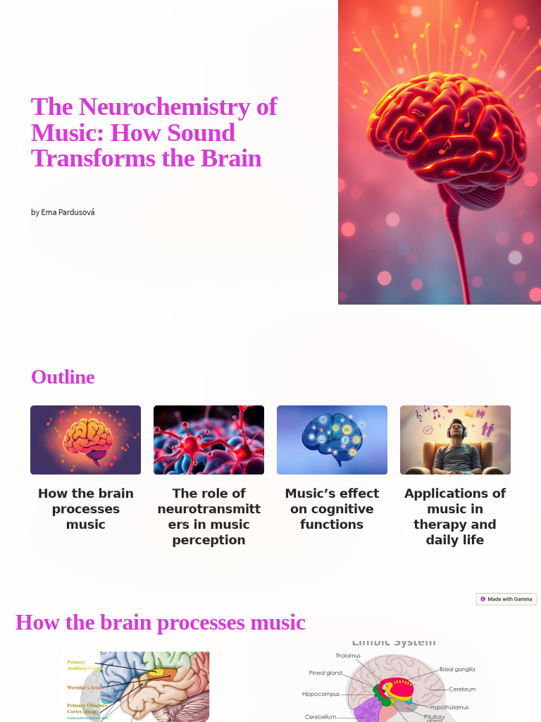 The Neurochemistry of Music How Sound Transforms The Brain | PDF