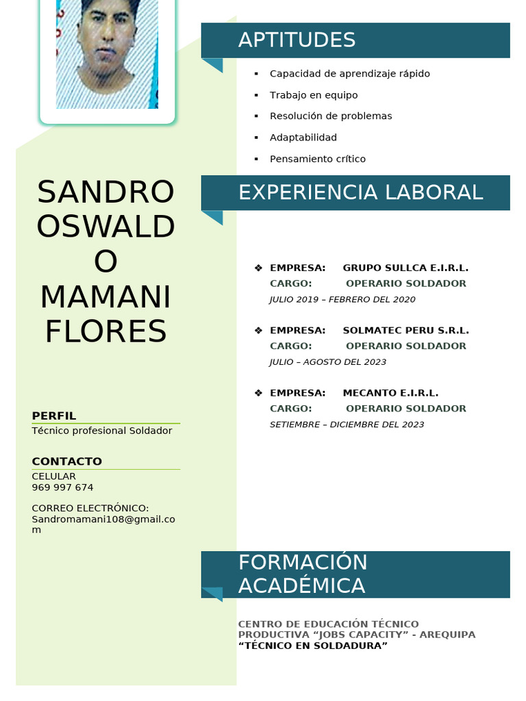 CV Sandro Mamani | PDF