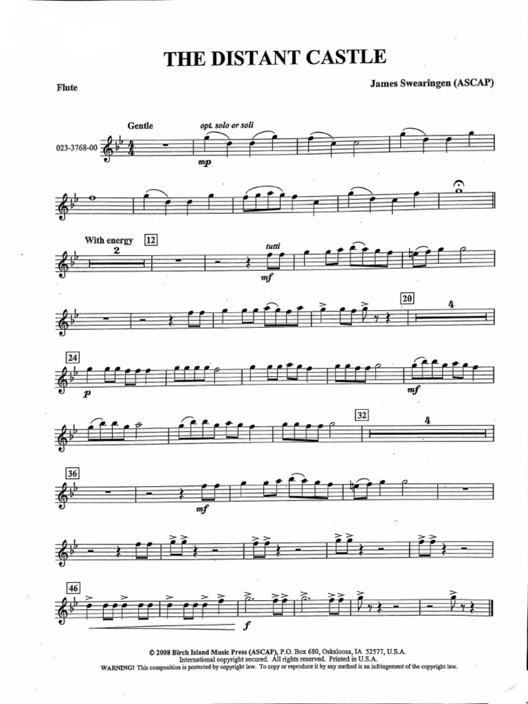 The Distant Castle | PDF