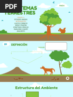 Triptico Ecosistema Terrestre | PDF | Ecosistema | Suelo