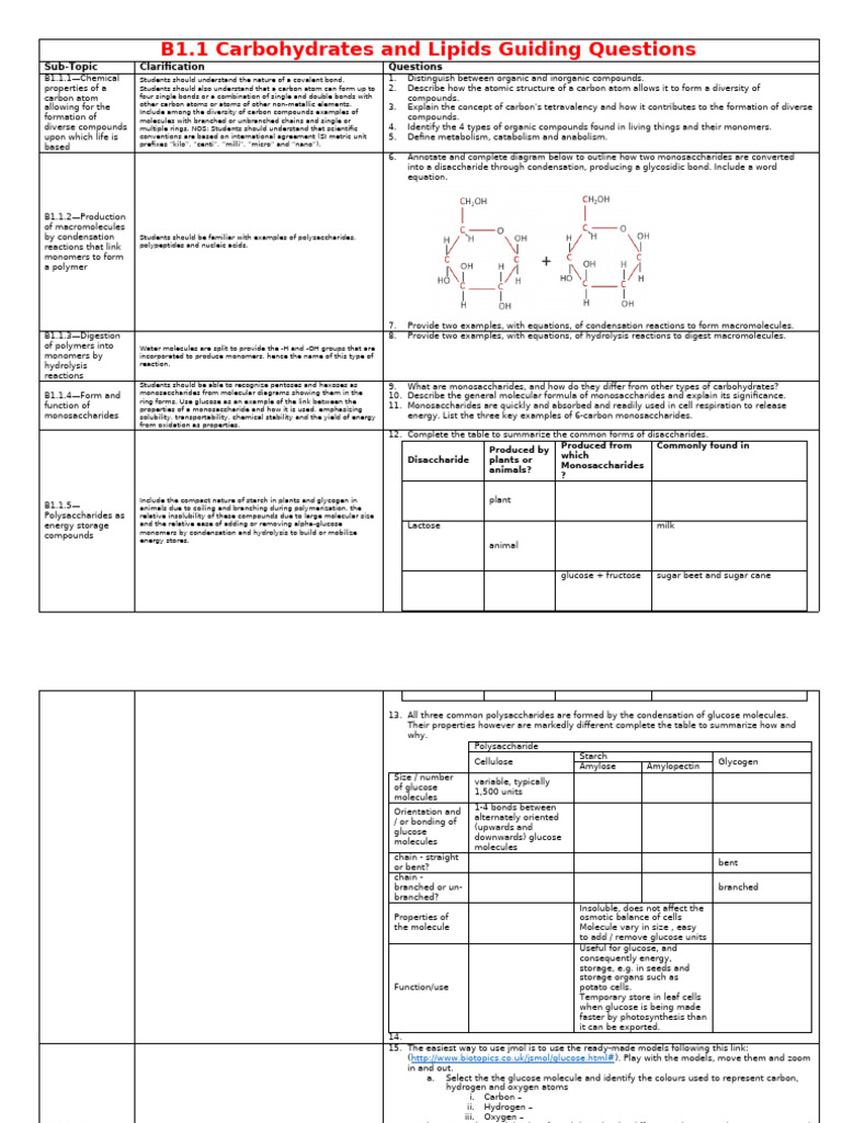 B1.1 Carbohydrates and Lipids Guiding Questions | PDF | Lipid | Glucose