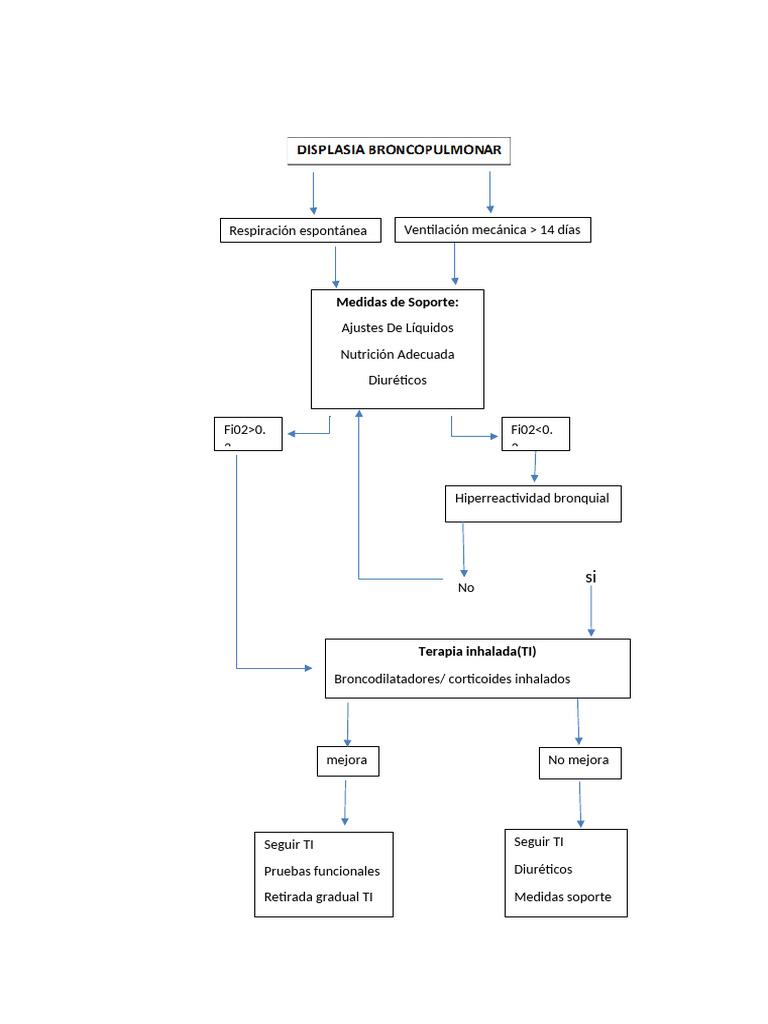 anexo DBP | PDF